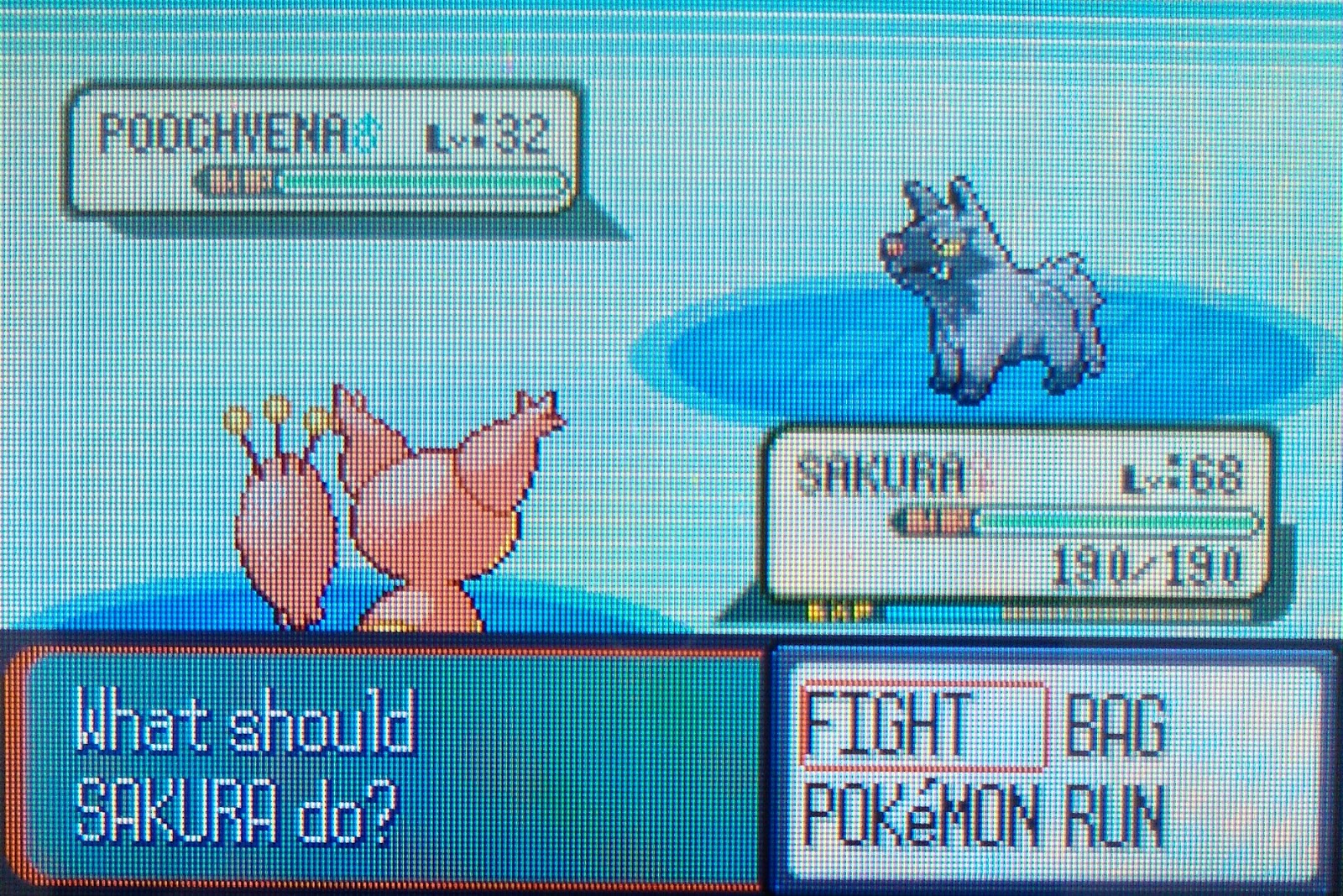 Pokemon Skitty Evolution Chart