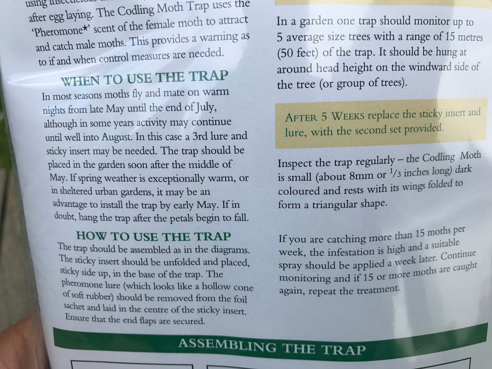 Down on the Allotment: Codling Moth Trap