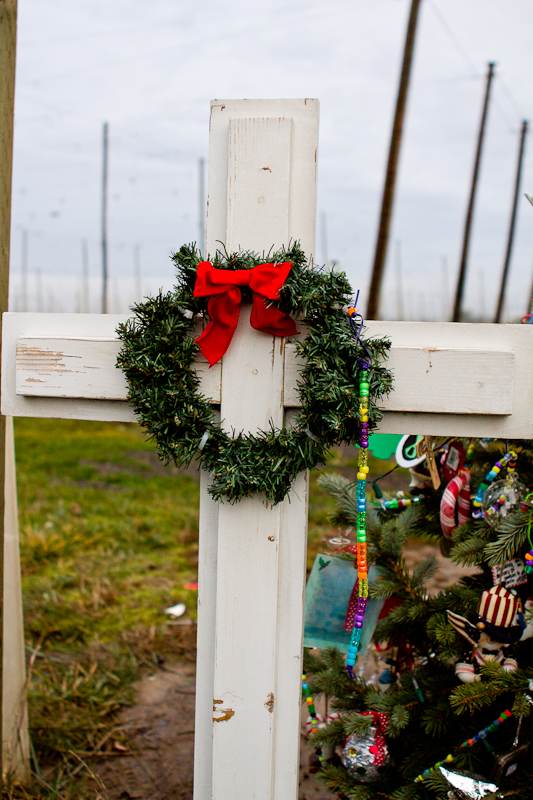 Teresa Hunt Photography: Memorial Christmas Tree