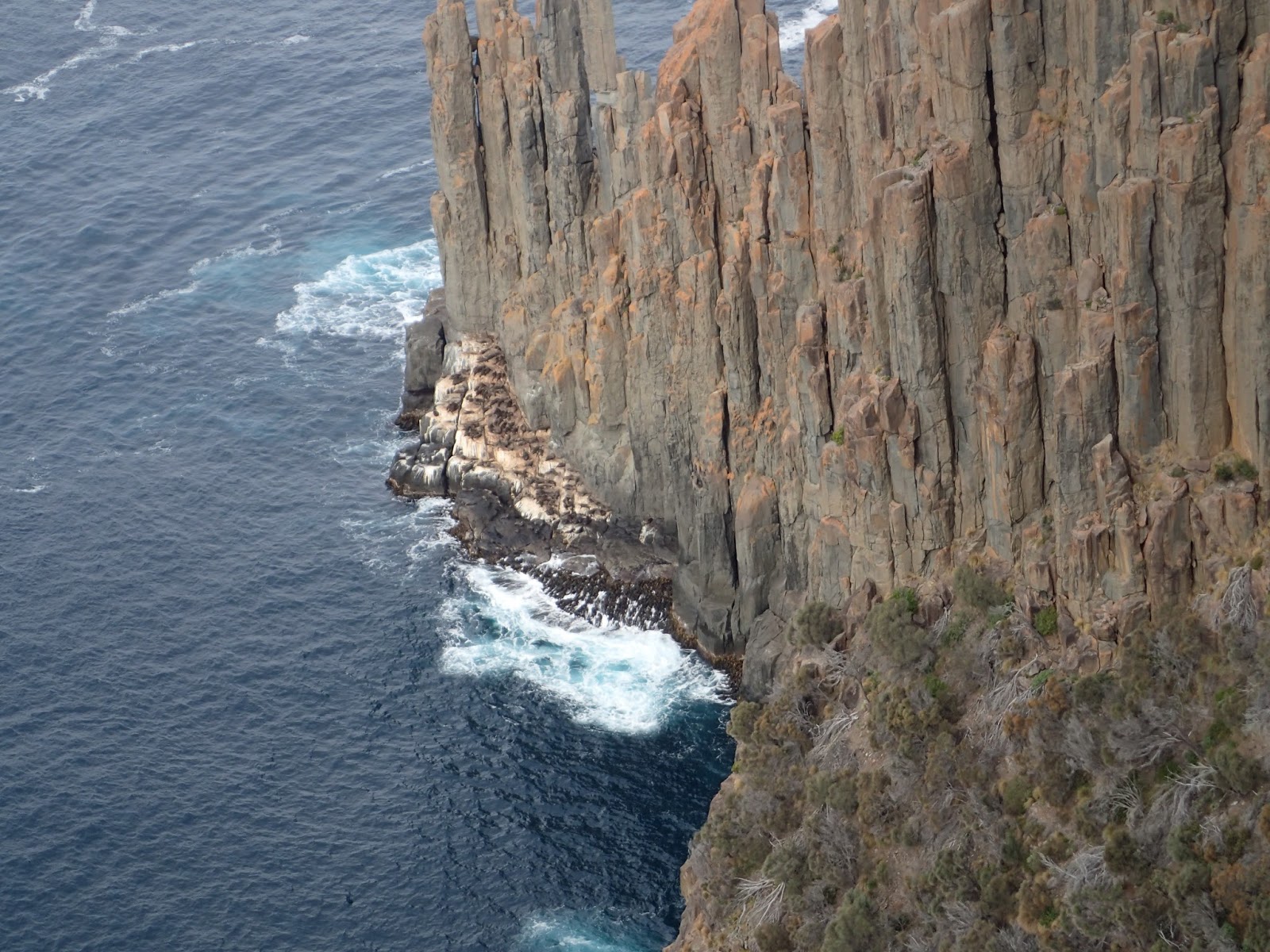 Cape Raoul | Hiking South East Tasmania
