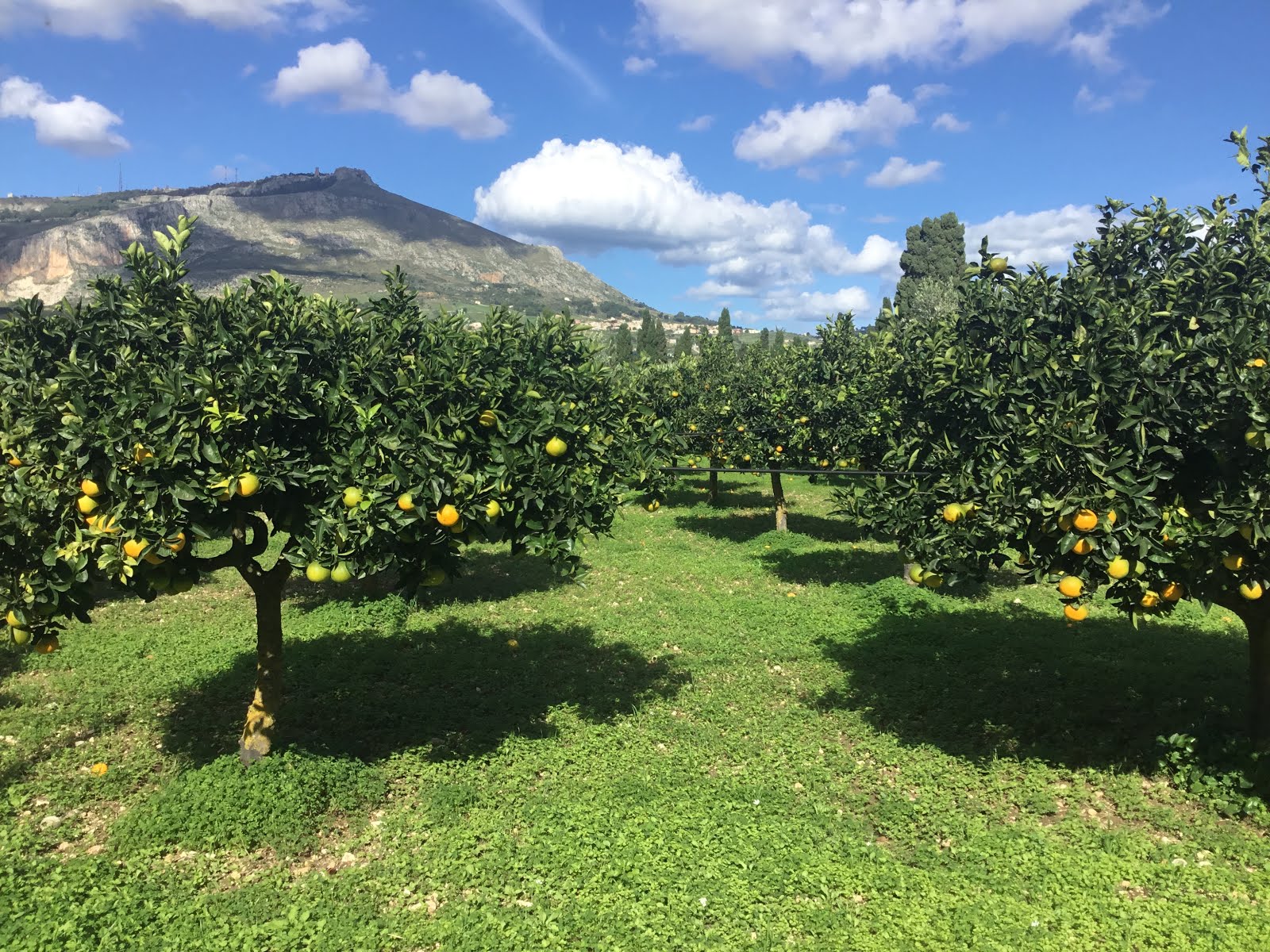 Trapani, una falce sul mare: Un antico mestiere scomparso