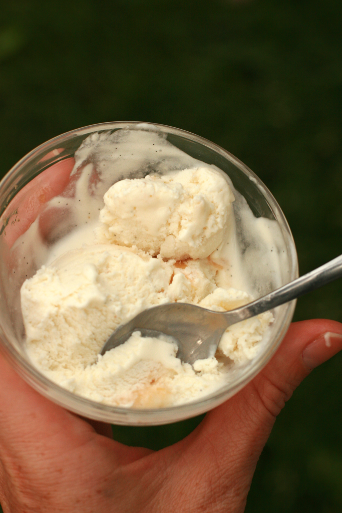 Carotte & Lychee: Recette : Crème glacée vanille de base