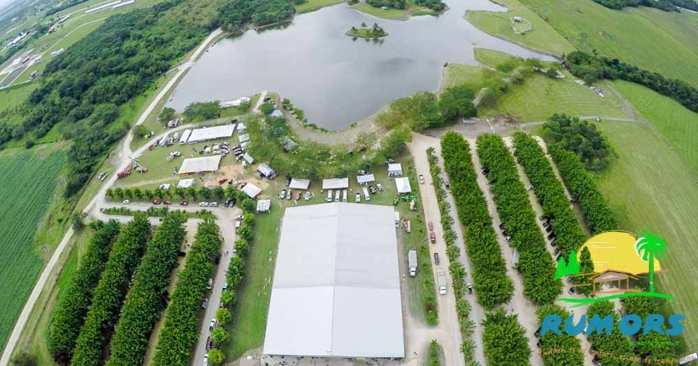 Other Things about the Belize Mennonites