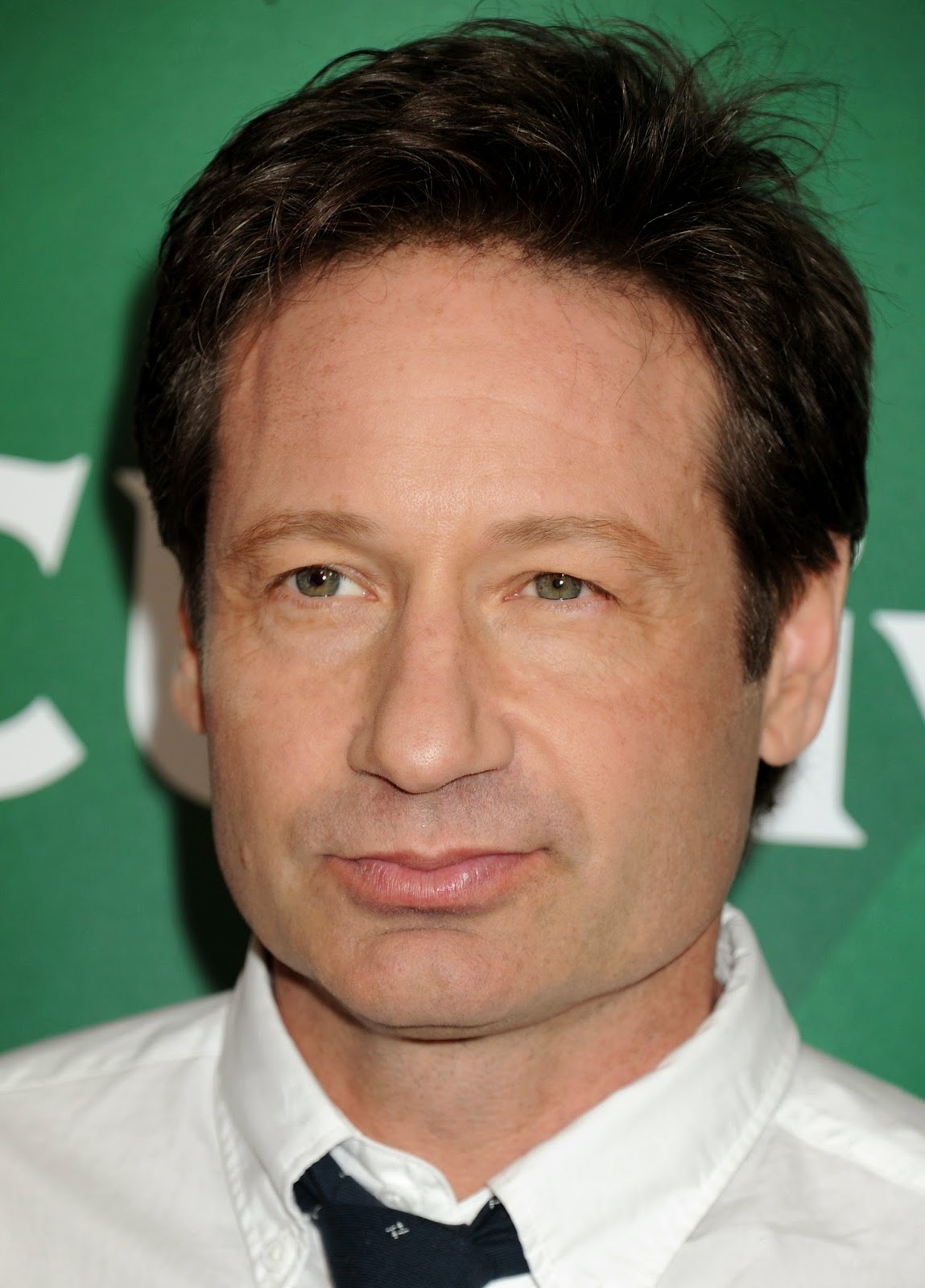 Photos: David Duchovny at the 2015 NBCUniversal Summer Press Day ...
