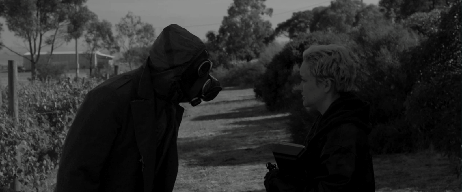 shaun wilson research