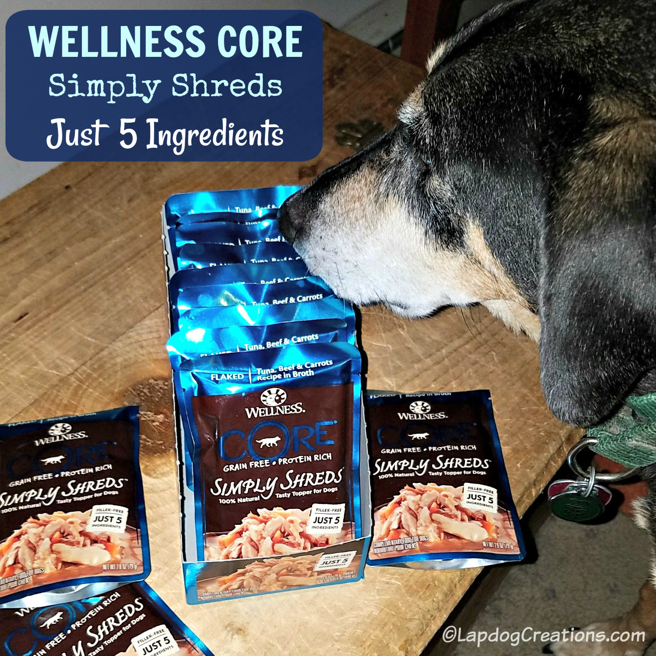 Lapdog Creations: Wellness CORE Simply Shreds #ChewyInfluencer