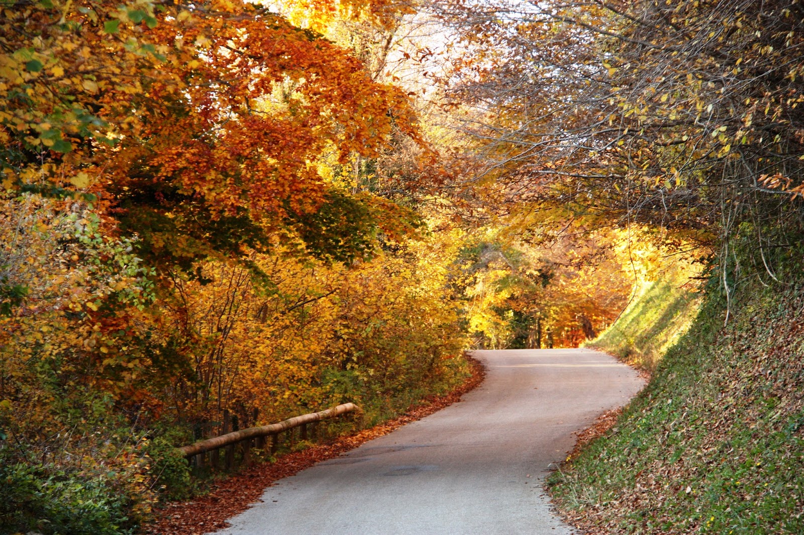 2 Dedos de Conversa: balade, ballade