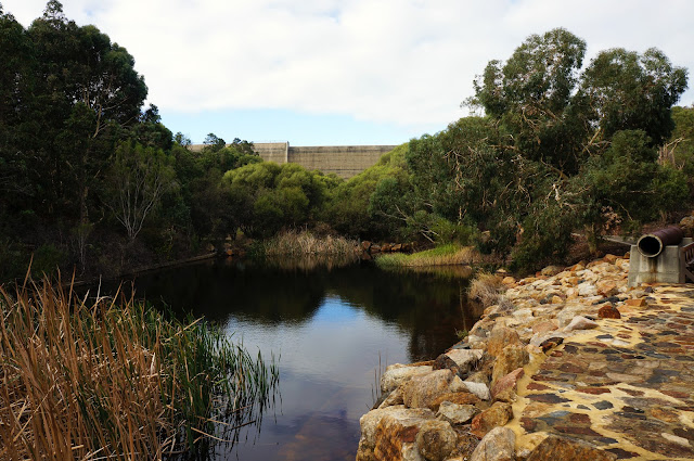 Mason & Bird/New Victoria Dam Loop (Korung National Park) ~ The Long ...