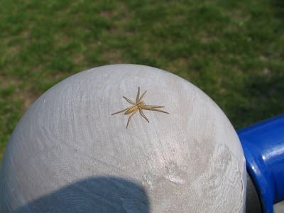 LA MULTI ANI, ROMANIA!: In Parcul Izvor