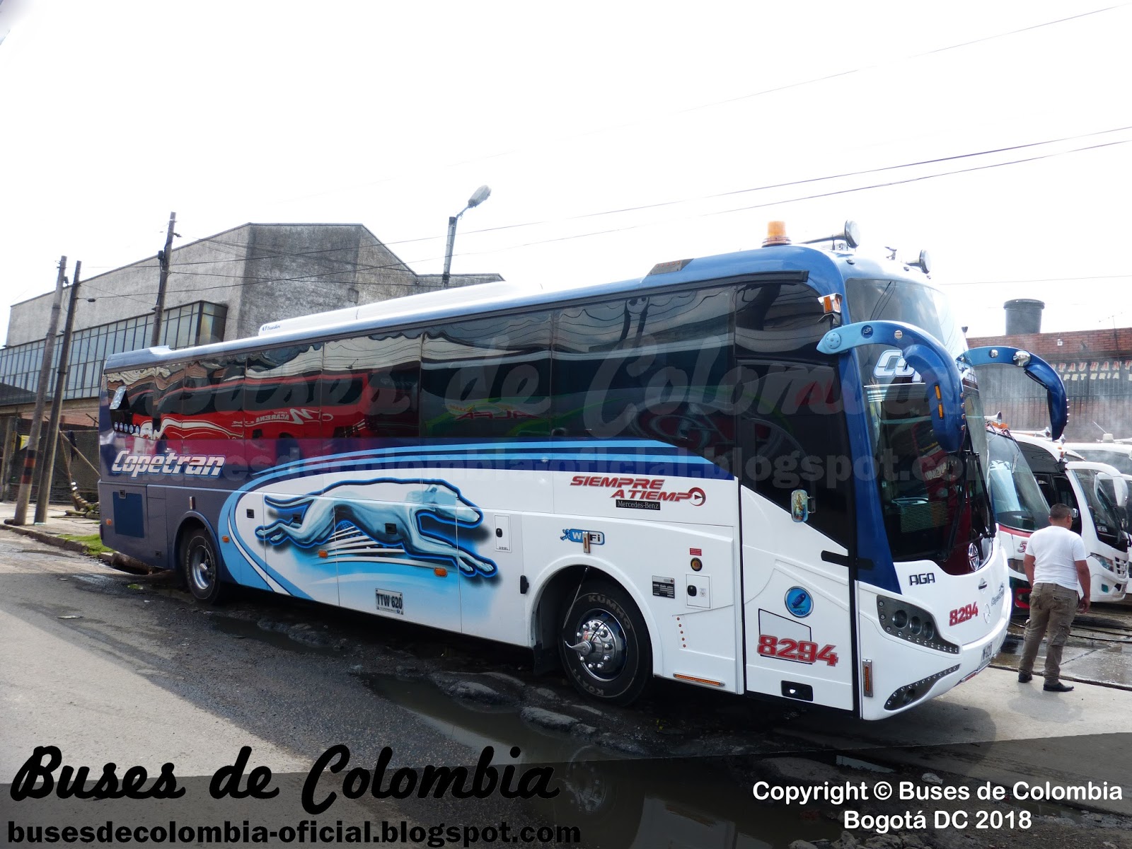Buses de Colombia - Oficial