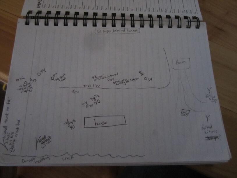 Simply Resourceful: Preparing for Maple Syrup Tapping