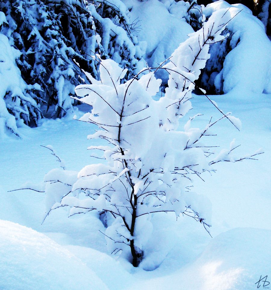 Imagini cu Zapada - Peisaje Zapada