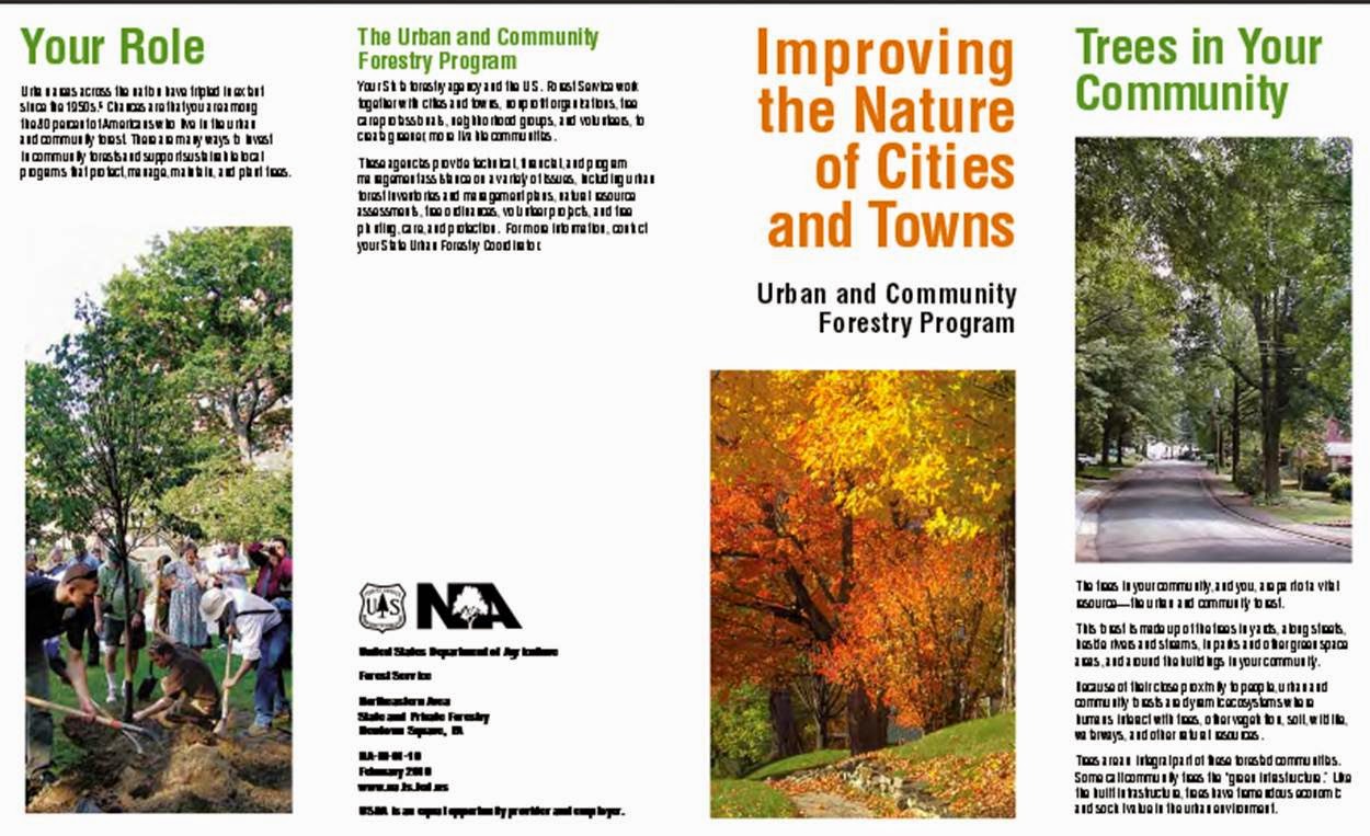 The Garden Tutor: Improving the Nature of Cities and Towns: Urban and ...