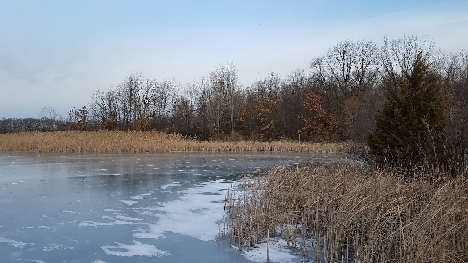 Wilderness Wanderings: Crosswinds Marsh