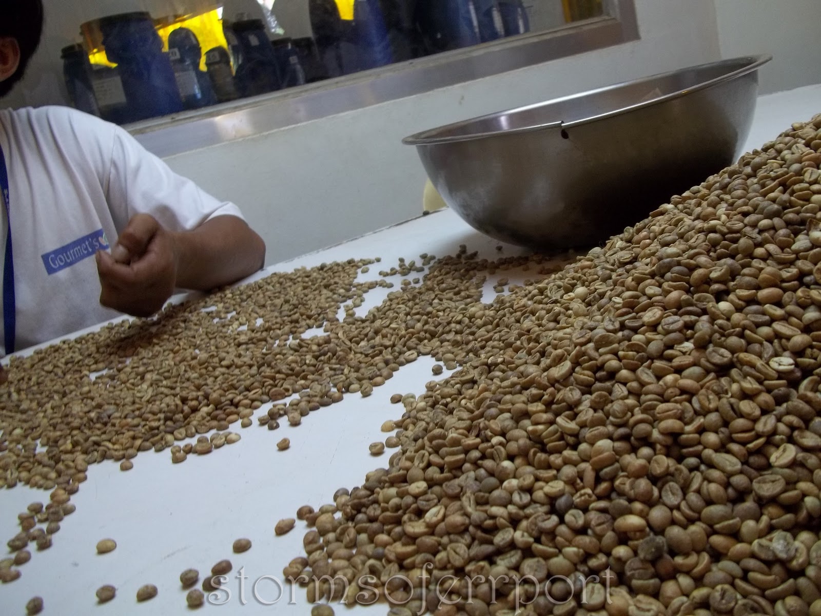 Mariang Sinukuan Files: A Gift to Nature: Figaro Tree Planting and Eco Tour