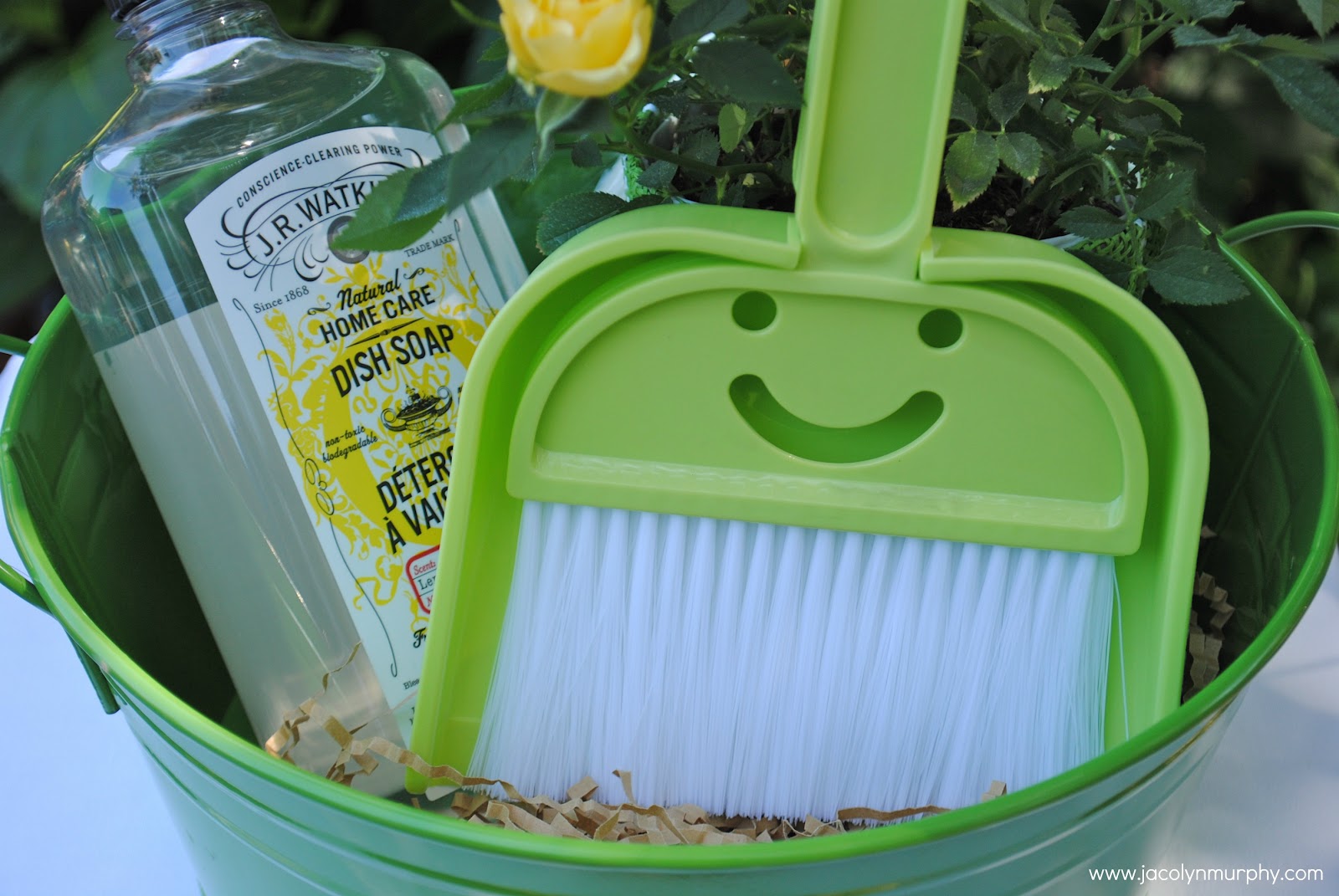 Jac o' lyn Murphy: Spring Cleaning...A Housewarming Gift