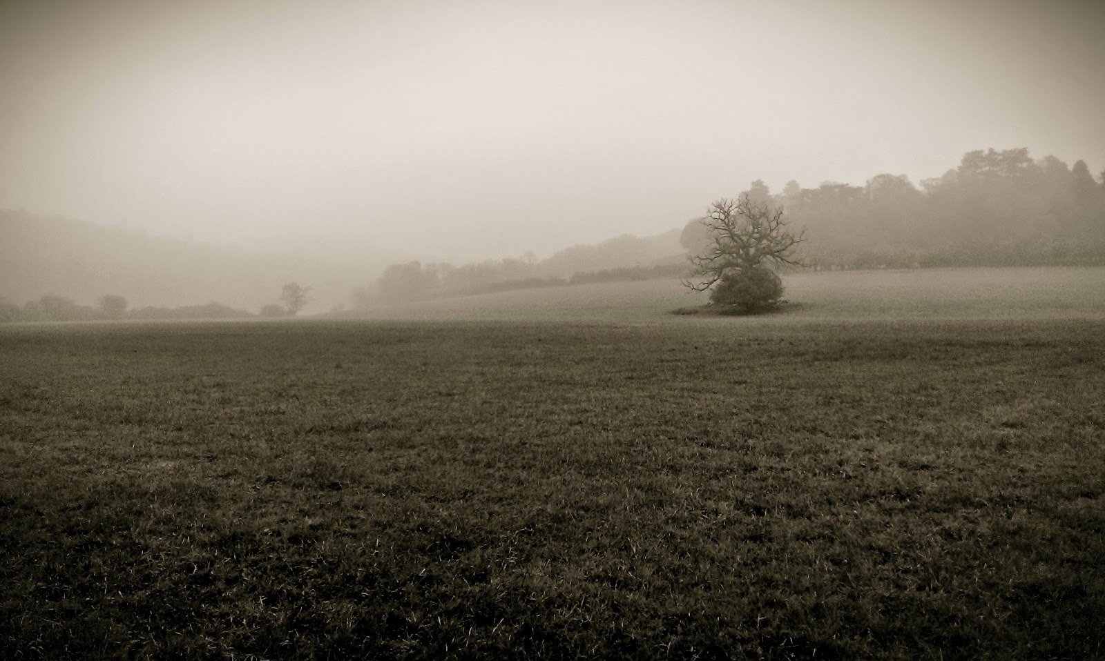 Landscapism: The last field in England