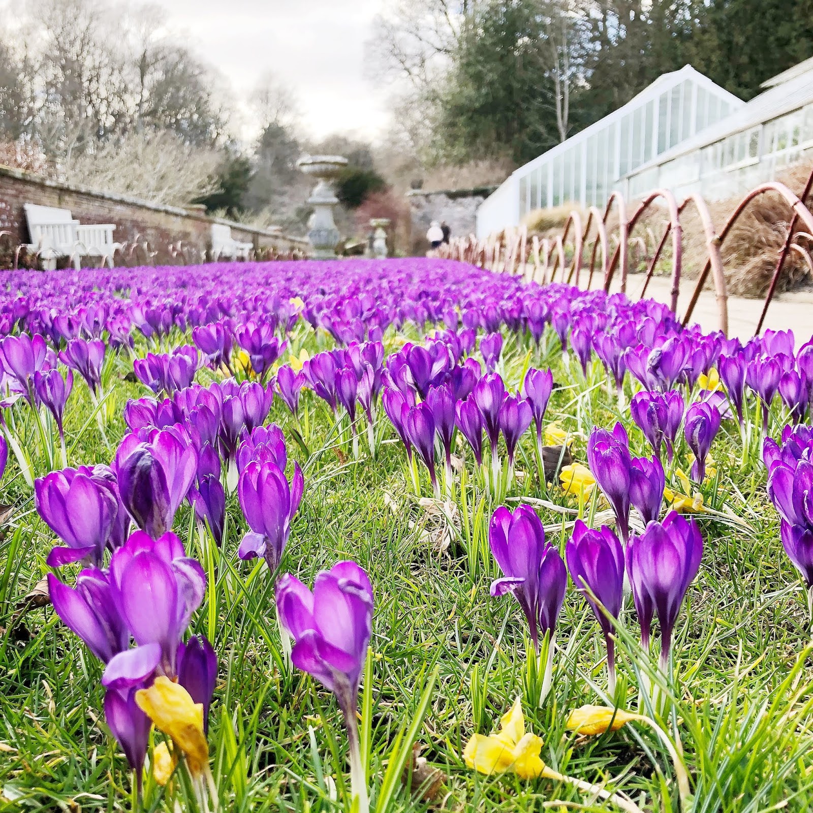 North East Flowers in Bloom - A Seasonal Trail | New Girl in Toon