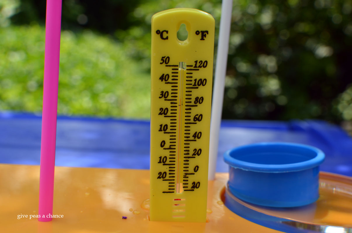 Give Peas a Chance: Young Scientist Club- Magic School Bus Lab #Giveaway