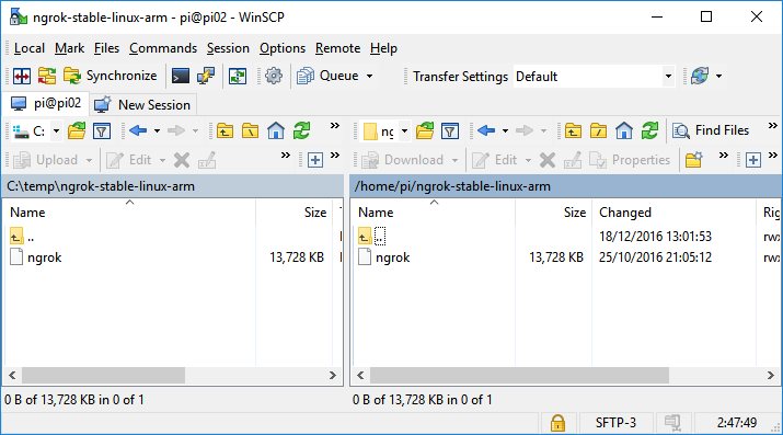 Creating a publicly accessible REST Web API on a Raspberry Pi3