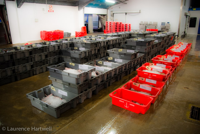 Through the Gaps! - Newlyn Fishing News: 01/03/14 - 01/04/14 Cornwall ...