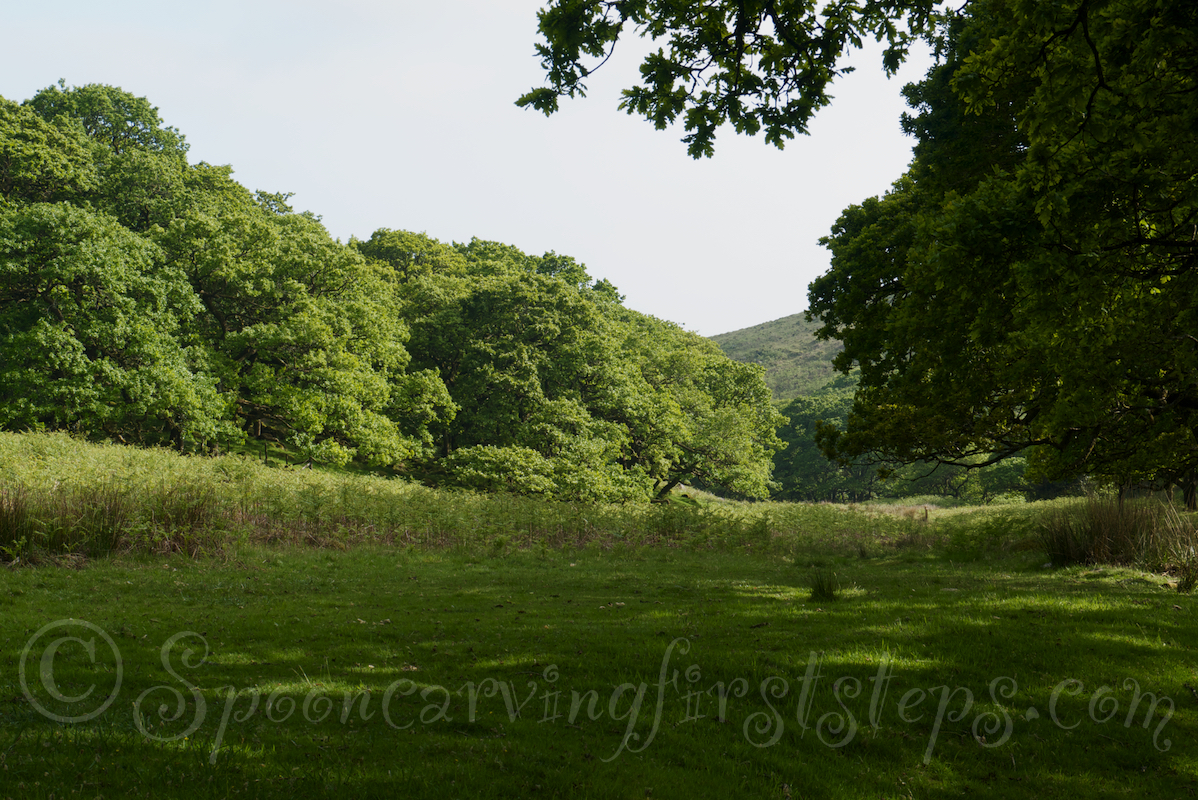 Jon Mac.Spoon Carving First Steps: Camping Now and Then.