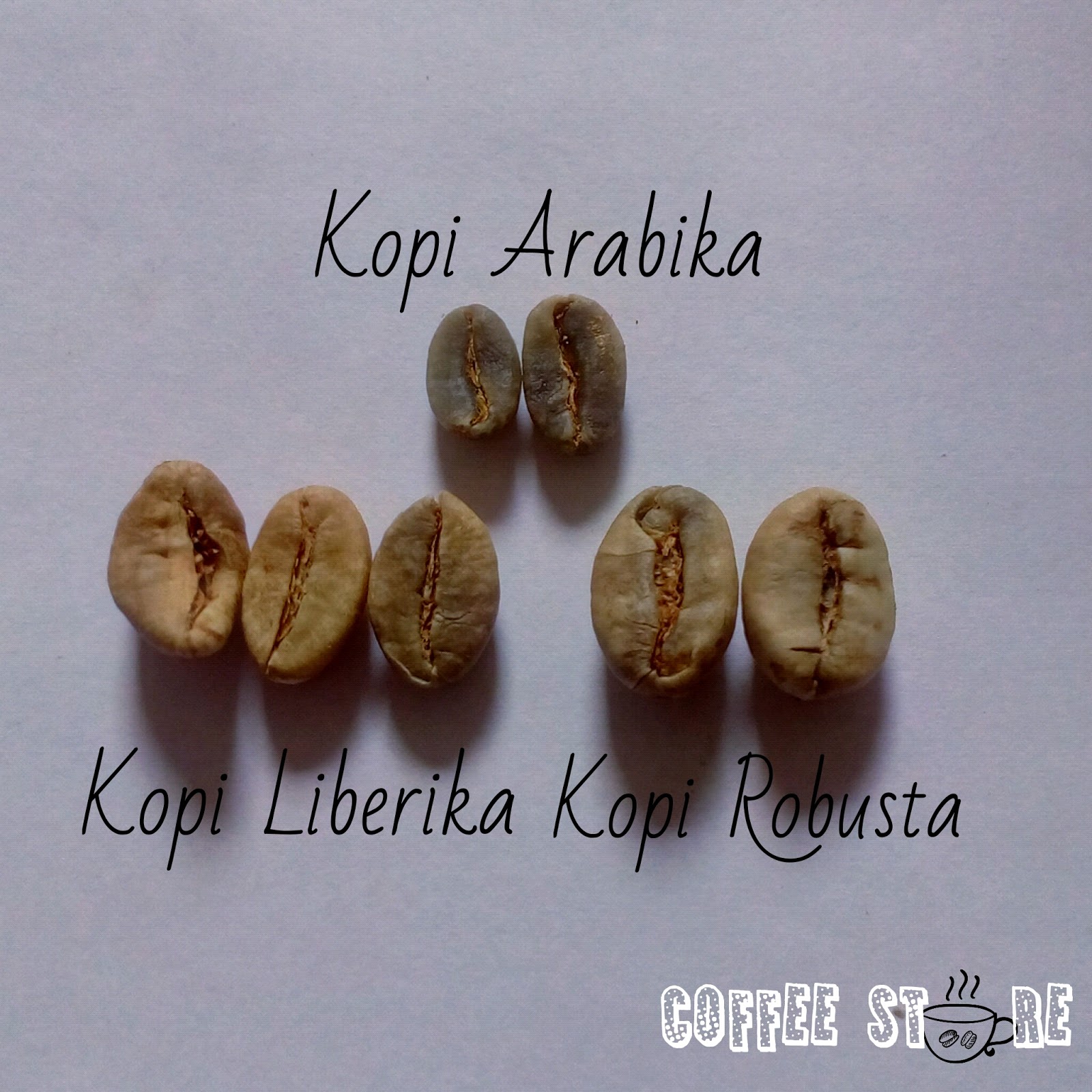 Biji Kopi Arabica Robusta: Perbedaan Biji kopi arabika, Liberika ...