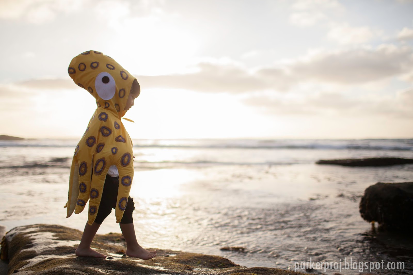 The Parker Project: Epic Octopus Costume Photos and Instructions