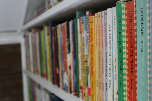The Unlikely Homeschool: How to Organize a Home Library