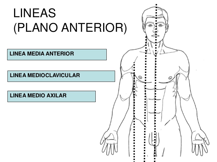 PRODUCCIÓN Y TRATAMIENTO DE IMAGENES DIAGNOSTICAS: ATLAS-TOPOGRAFÍA DE ...