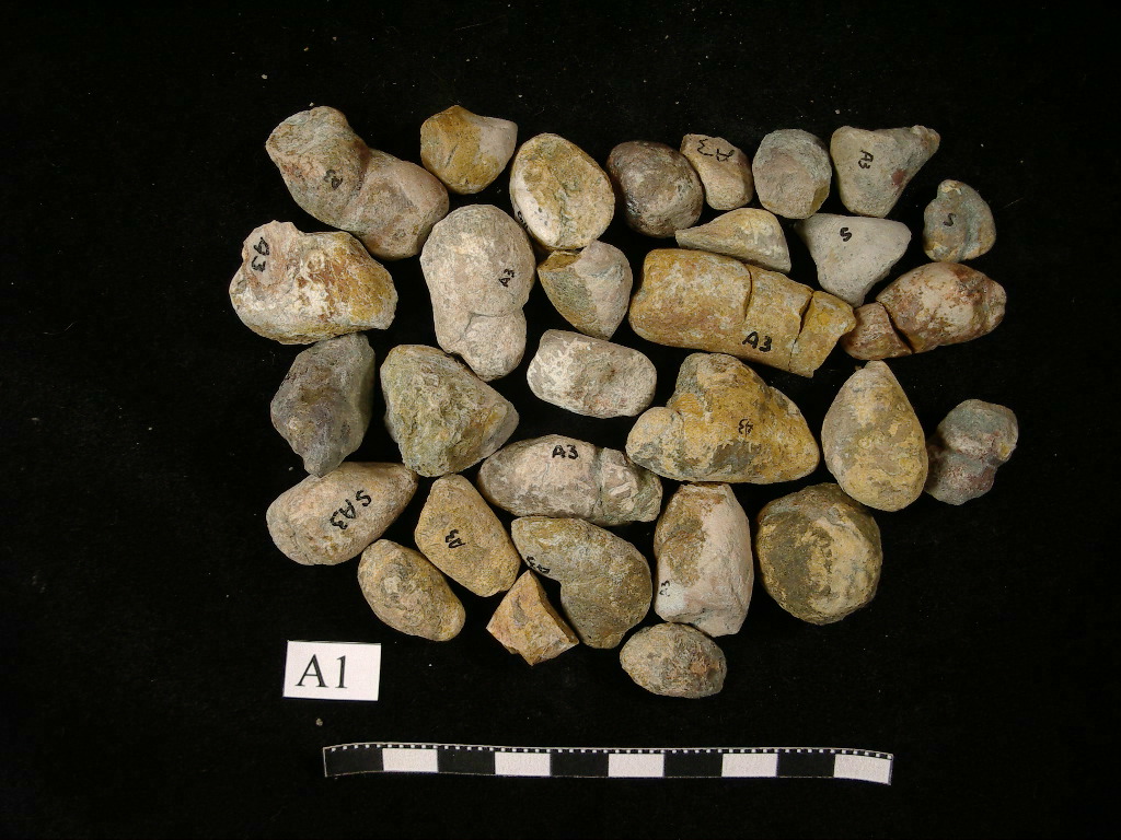 blog paleontologico de carolina: Coprolitos de cocodrilo de Zorralbo