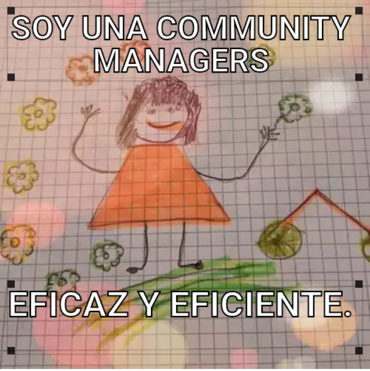 Meme Community Managers