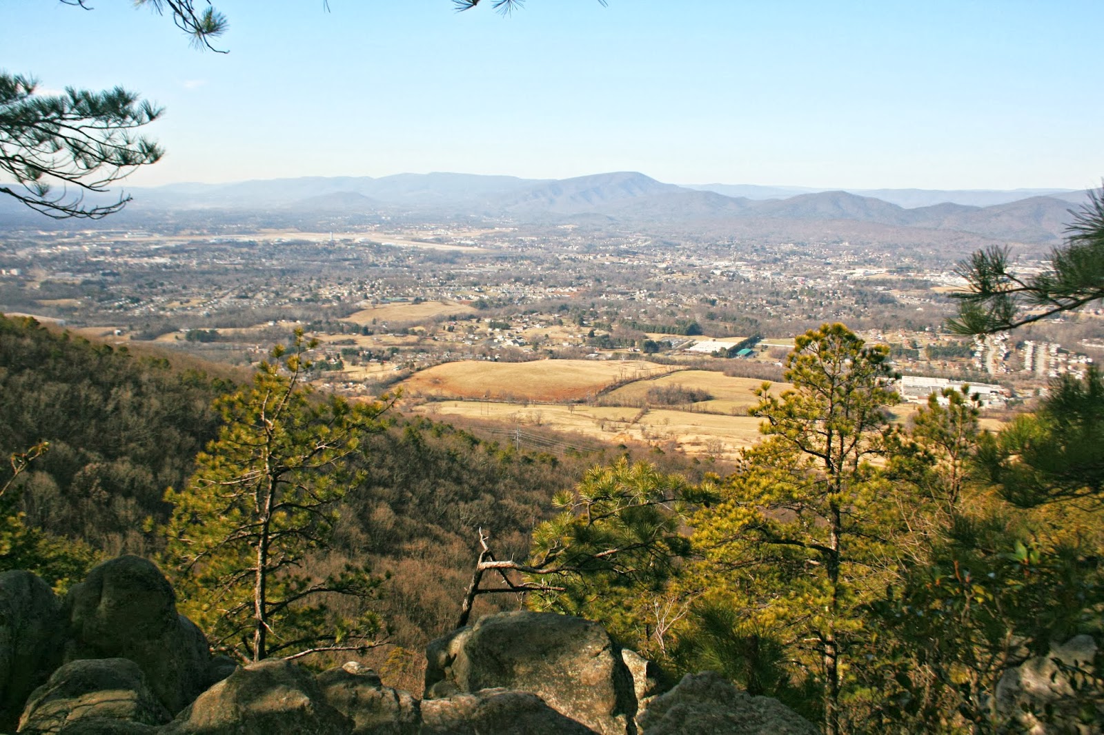 Two Bears Farm and the Three Cubs: Hiking Read Mountain Preserve
