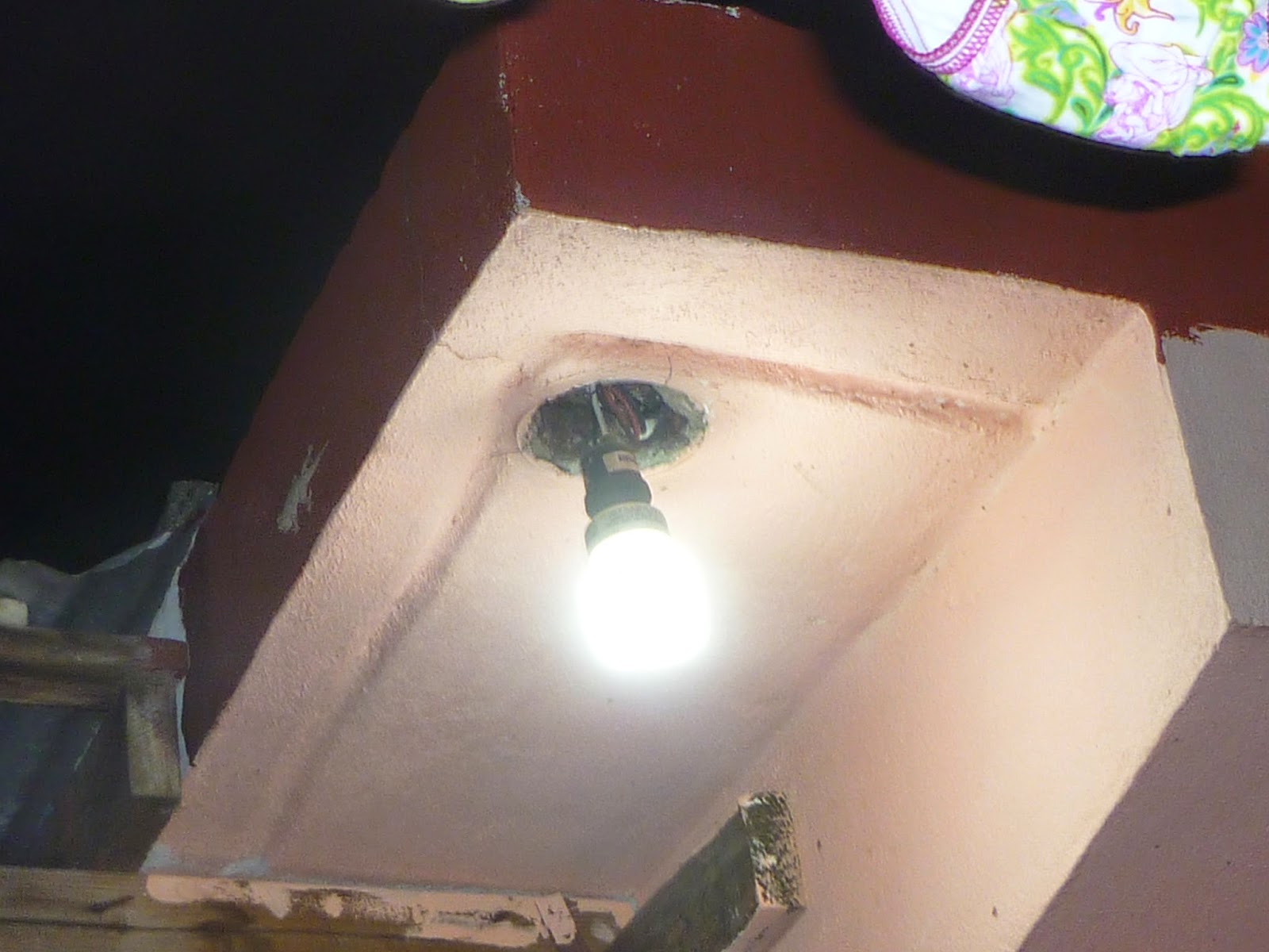 The Jamaican Croaking Lizard