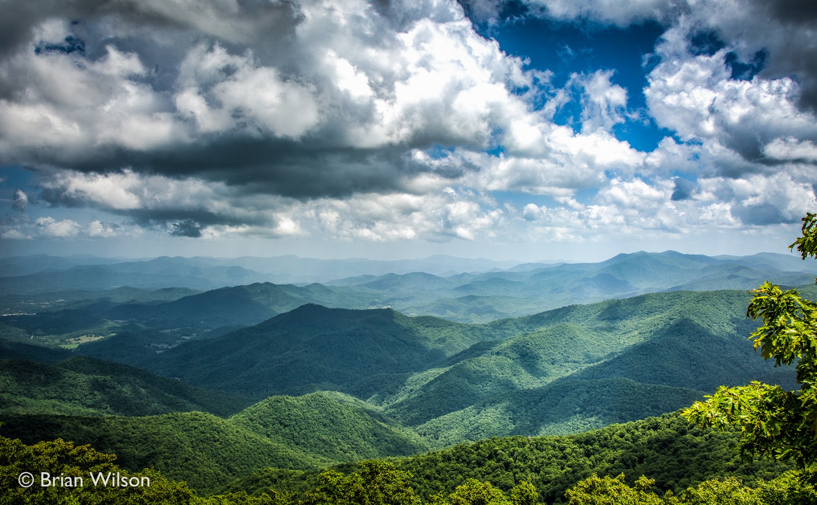 Southern Wanderings: Wayah Bald