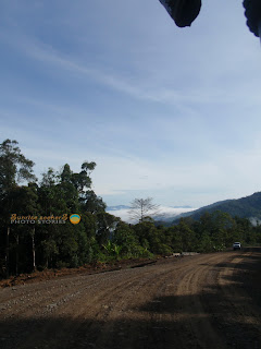 Lonely Jungle of Malaysia ( and Asia ): A Pilgrimage to Mt Murud - the ...