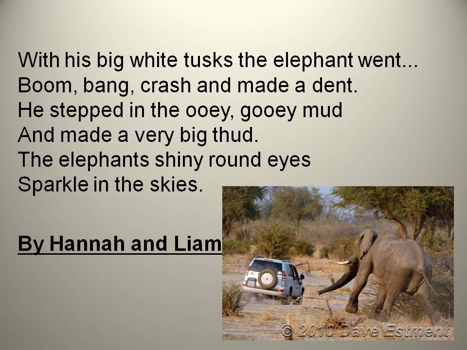 Mrs. Whillier's Wonder kids!: Elephant Poems