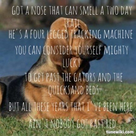 Talking Dogs at For Love of a Dog: Ol' Red by Blake Shelton | Dog Song ...