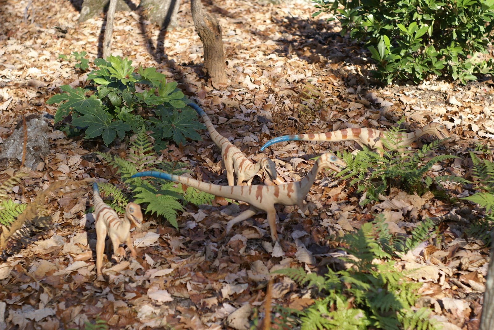 My Little World Of Dementia: A Trip to the Dino Zoo