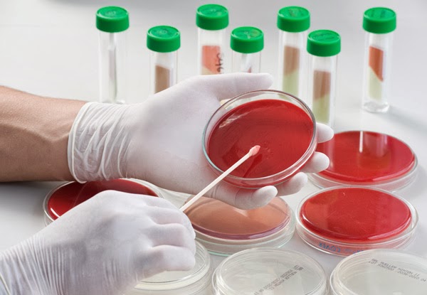 Medios de cultivos microbiológicos