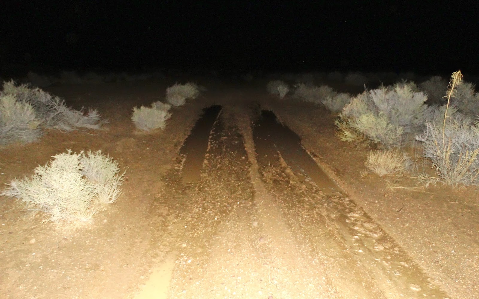 Our Four Wheel Camper: Morning at Cuddeback Lake - "retreated to a ...