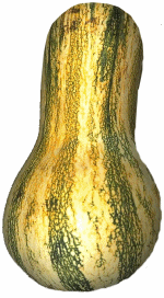 Verdulería Tutti - Frutti: Verduras seleccionadas directo de la quinta