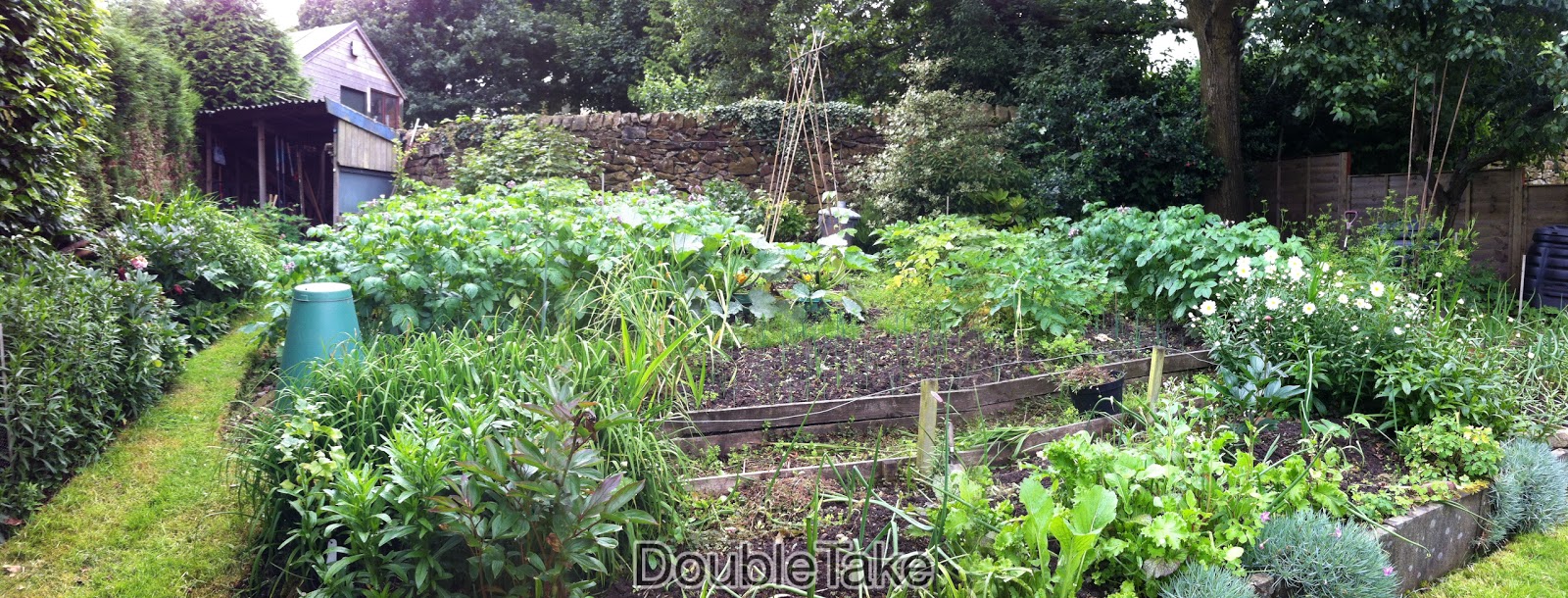 Creating Pictures in my Mind: The Vegetable Patch