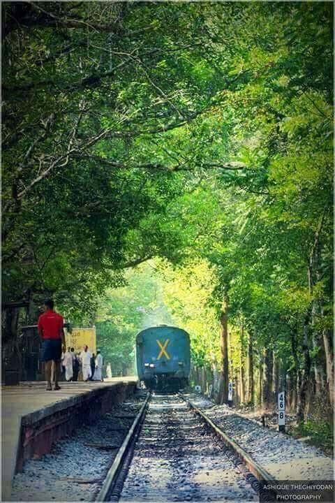 Nature Through My Cam: Nilambur – Shoranur Railway Line & Malappuram ...