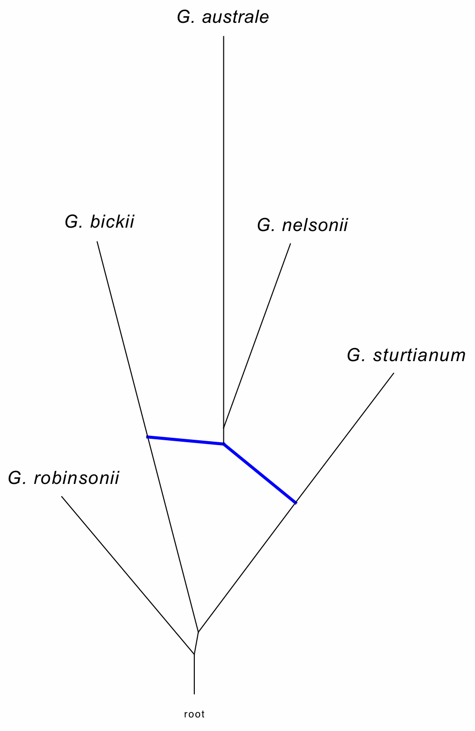 The Genealogical World of Phylogenetic Networks: A limitation of ...