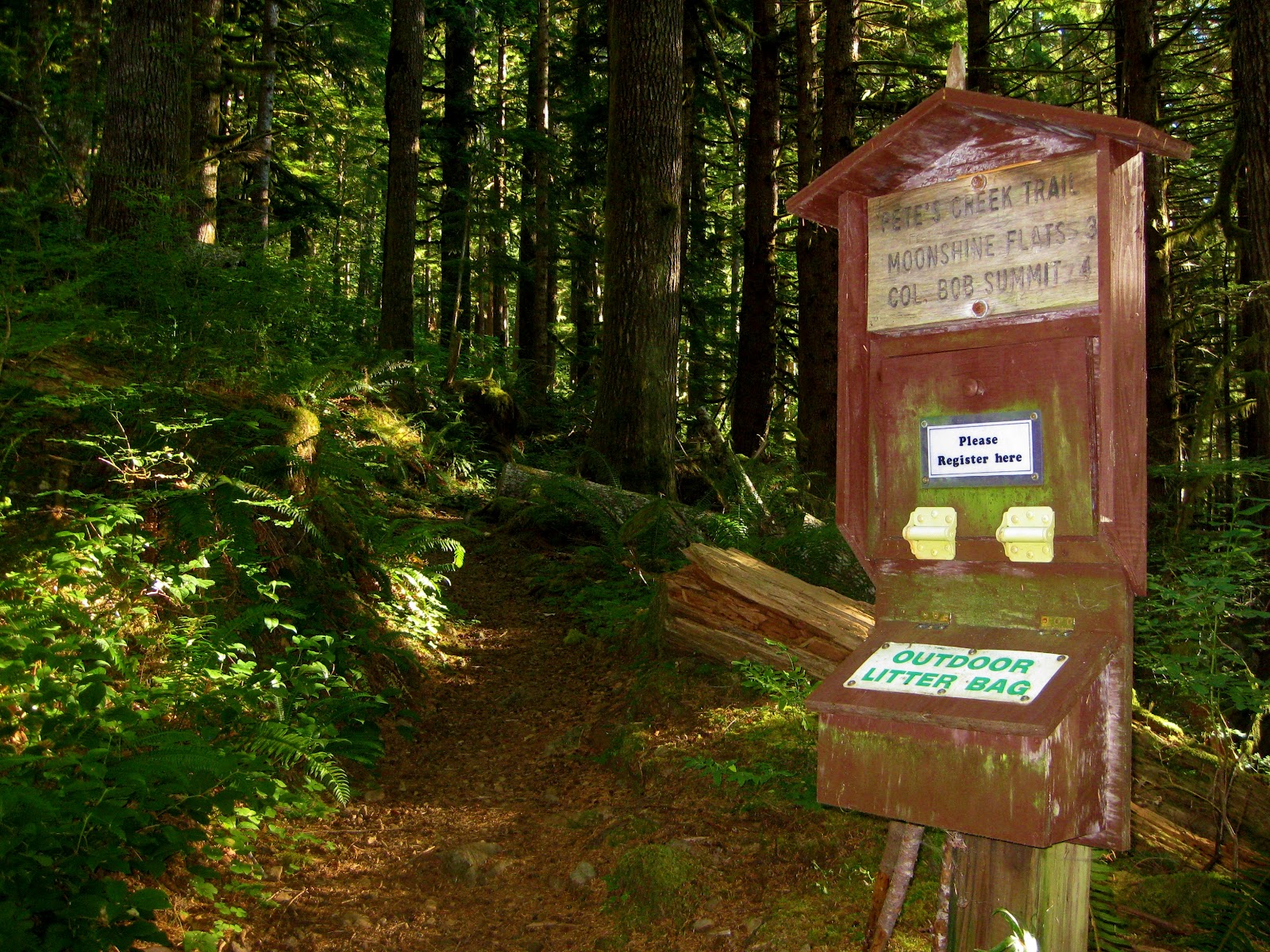 Olympic Peninsula Hikes, Guides and Updates: Colonel Bob Peak and Pete ...
