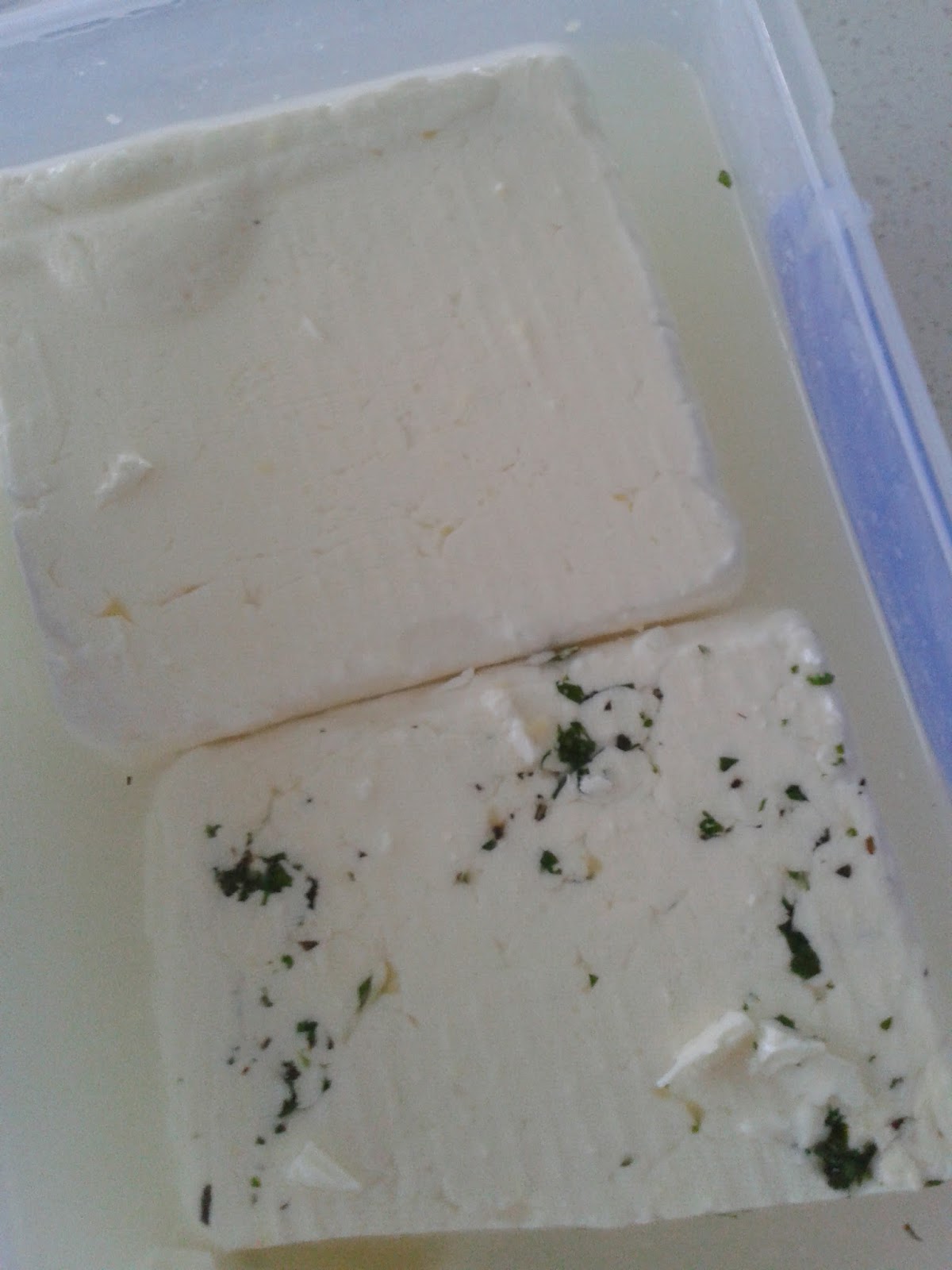 HarbourlightsB&B New Zealand: Fog and feta cheese...