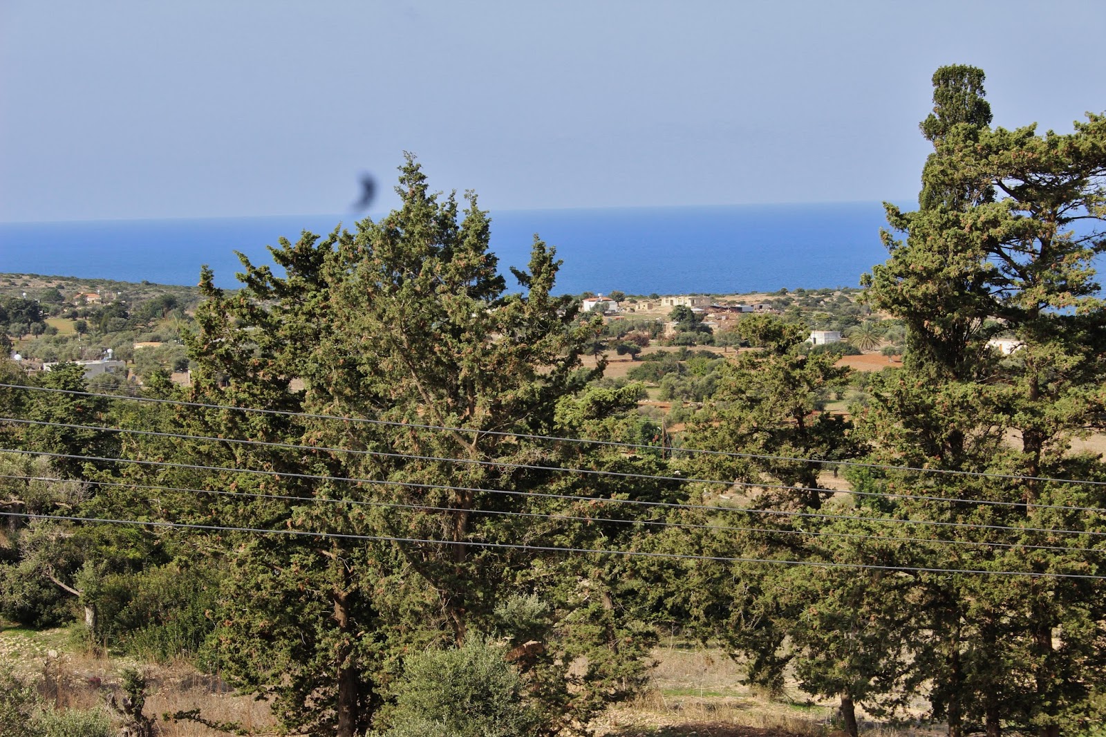 Biodiversity of Cyprus by NGO Protection of the Natural Heritage and ...