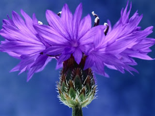 Out of this world 2: Andy Small - Fine Art Photography