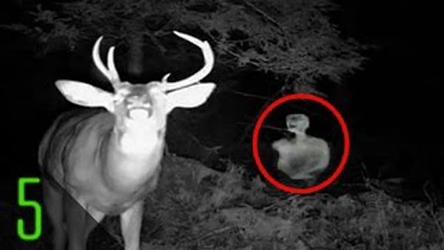 5 Creepiest Unexplained Trail Cam Photos